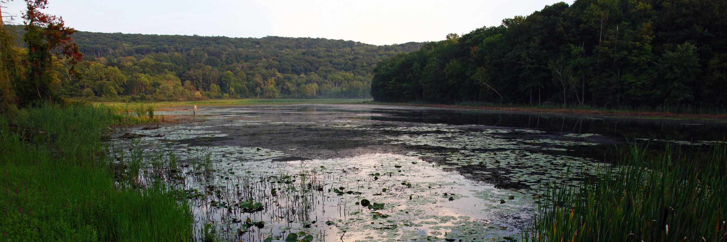 Sharon Audubon Center - Litchfield Magazine