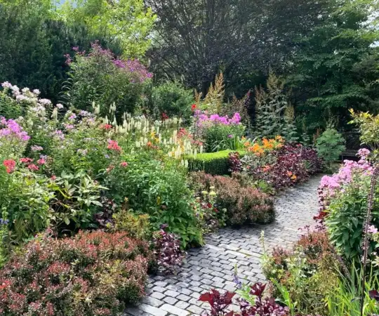 Color in the Garden - Litchfield Magazine