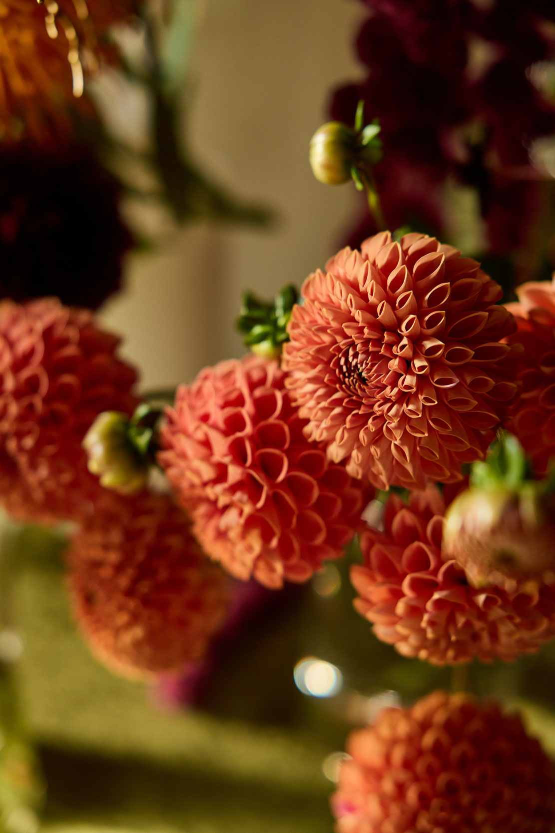 Brenda Christie Mastering the Language of Flowers - Litchfield Magazine